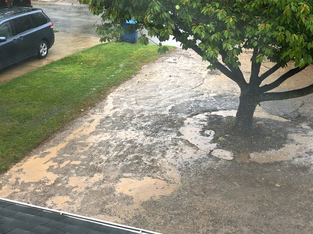 IMG 2467 — Postimages