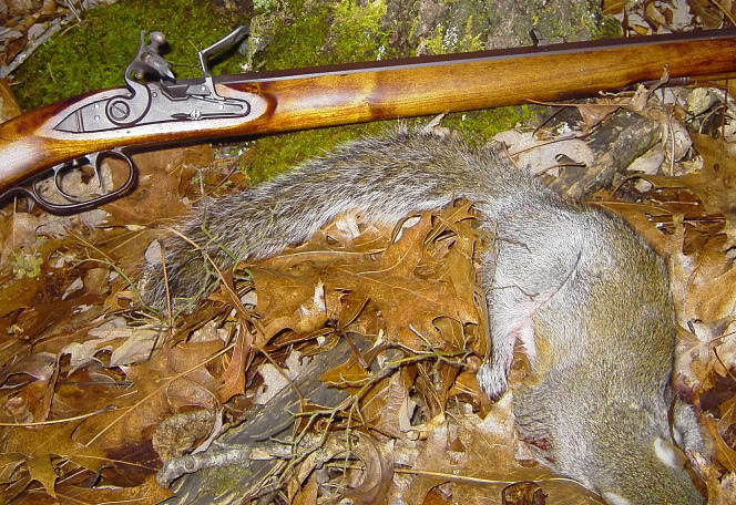 Small Game Muzzleloaders | Shooters Forum