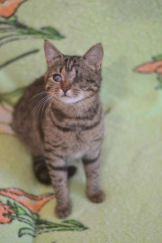 DSC 0737 — Postimages