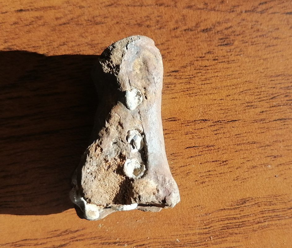 IMG 20240210 123345 — Postimages