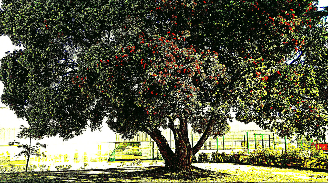 0444 20160617 40 — Postimages