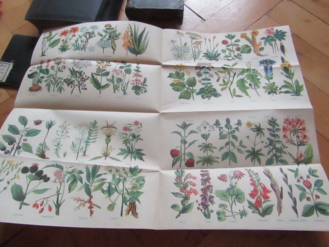 IMG 3086 — Postimages