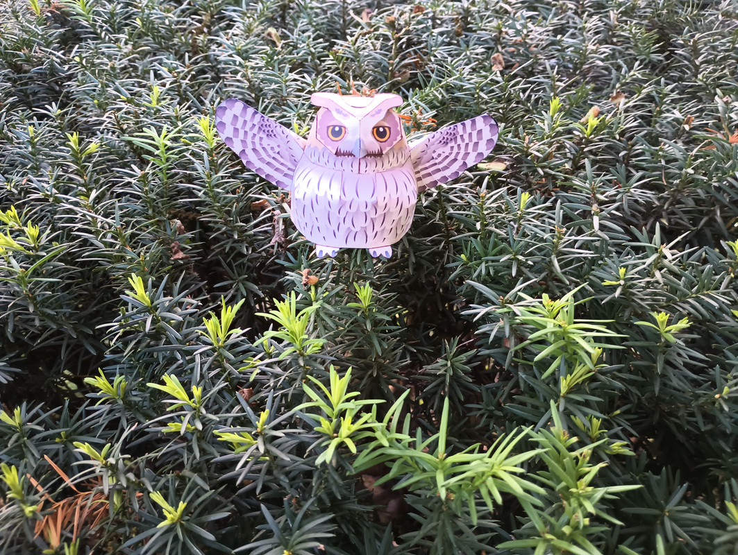 IMG 20230523 200912871 — Postimages