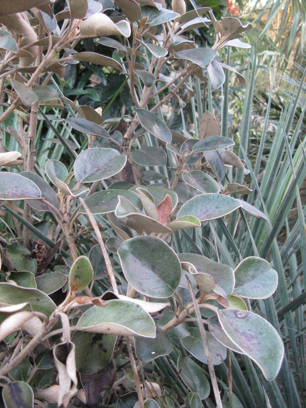 IMG 0228 — Postimages