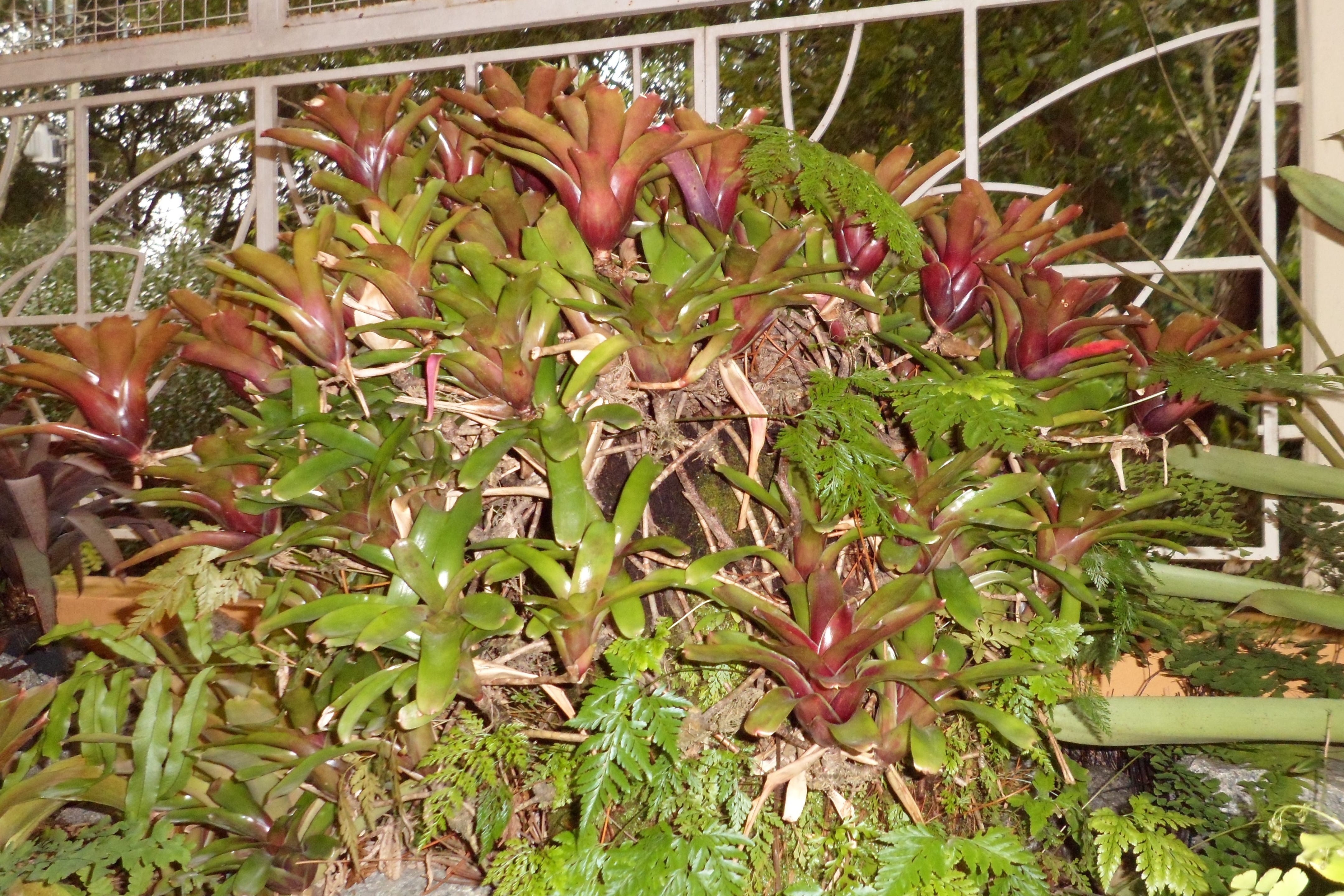 SAM 0286 — Postimages