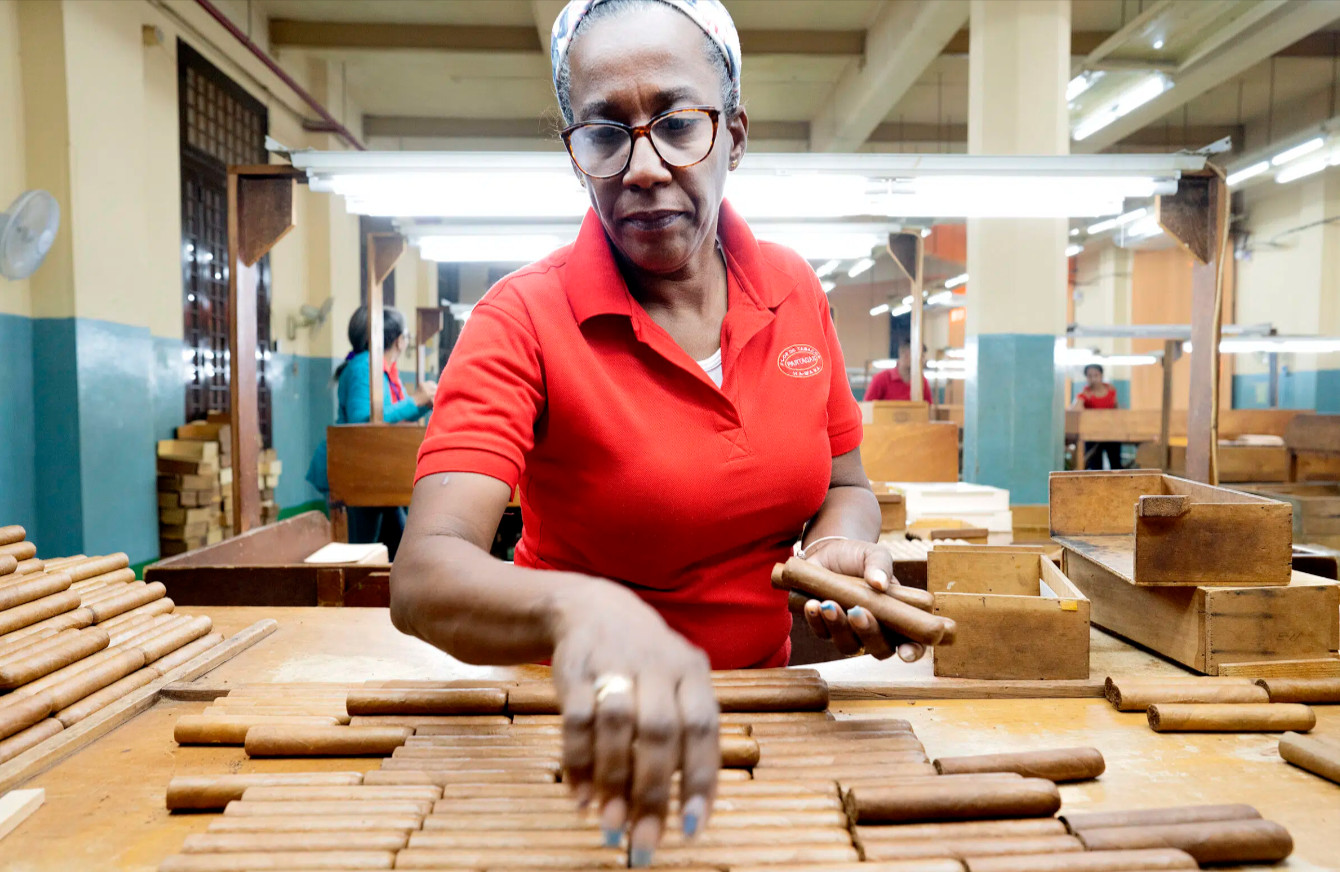 Festival Del Habano XXIII Partagas Factory Color Sorting scaled jpg ...