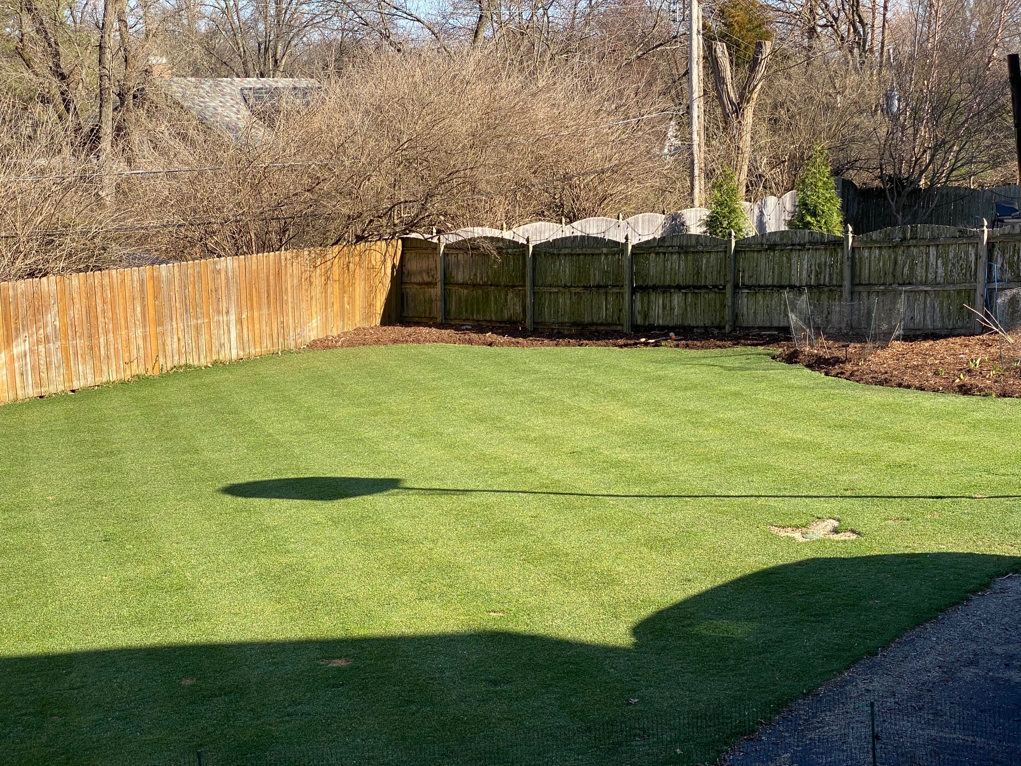 IMG 1995 — Postimages