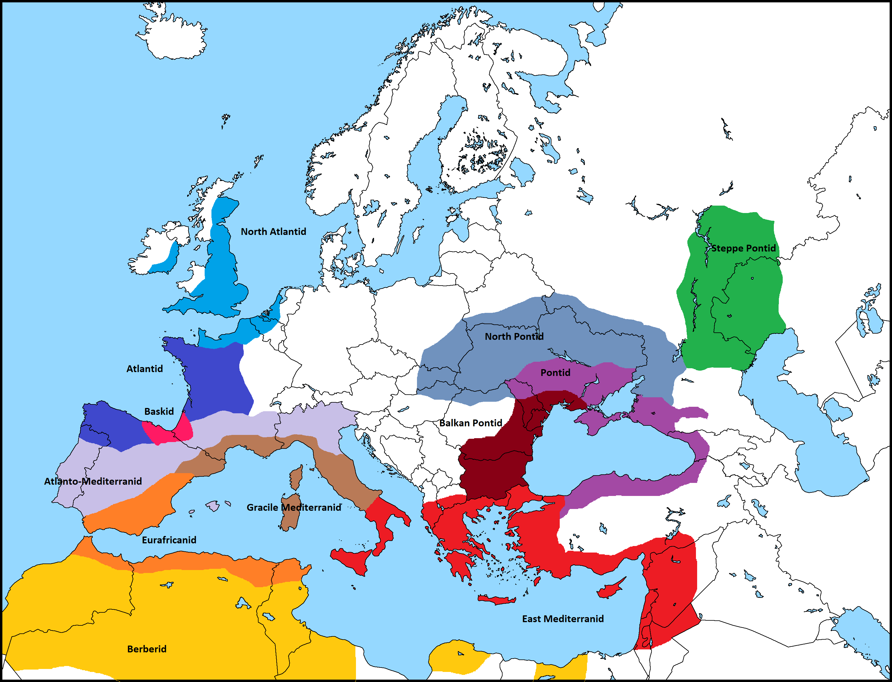 Mediterranoid phenotypes (Westische rasse)
