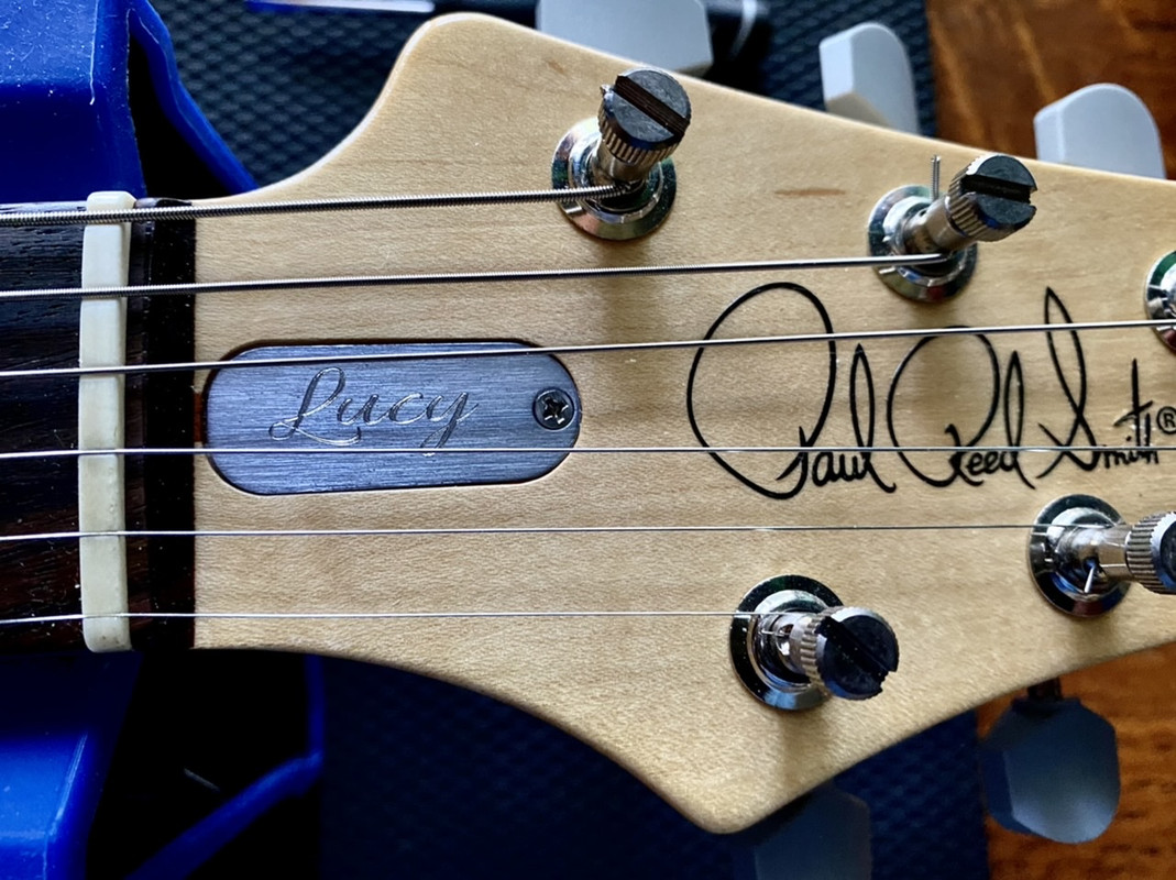 SHOW US YOUR SILVER SKY MODS!!!! | Official PRS Guitars Forum