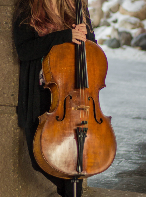 Just got a posture peg installed on my cello. I should have done this ...