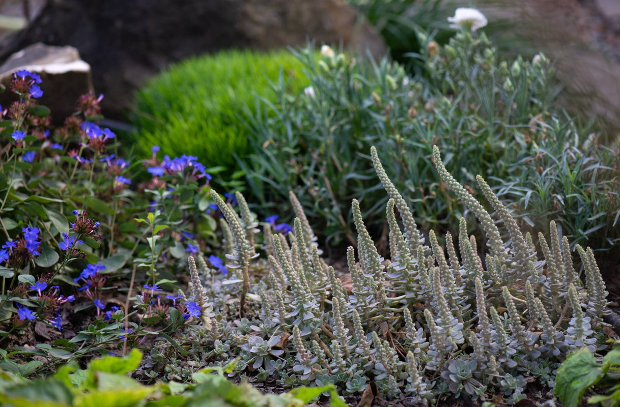 IMG 147adf36094b27d91b5e6b5feeafd0bf V — Postimages