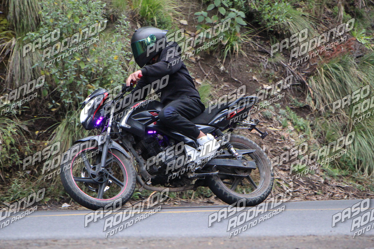 IMG 0488 wm 3687005 3 watermarked — Postimages