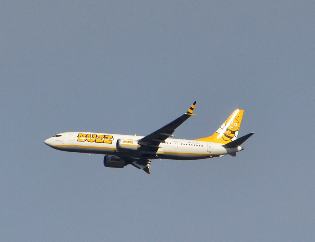 DSC 0356 — Postimages