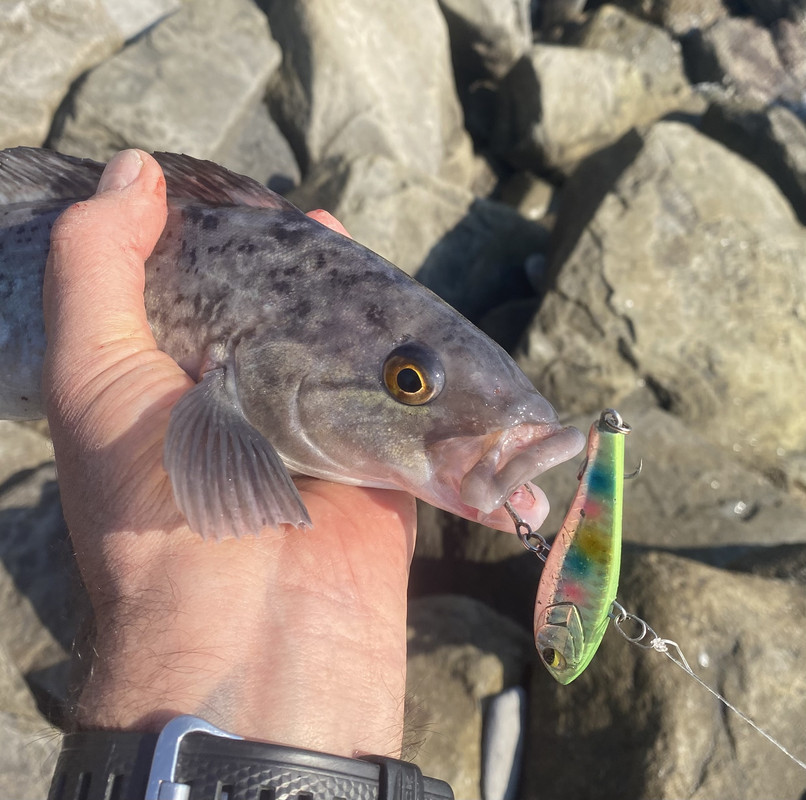 IMG 9737 — Postimages