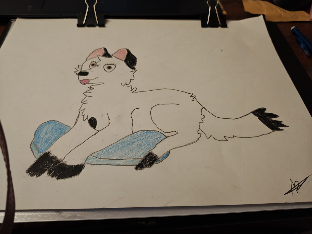 IMG 20241217 200747889 HDR — Postimages