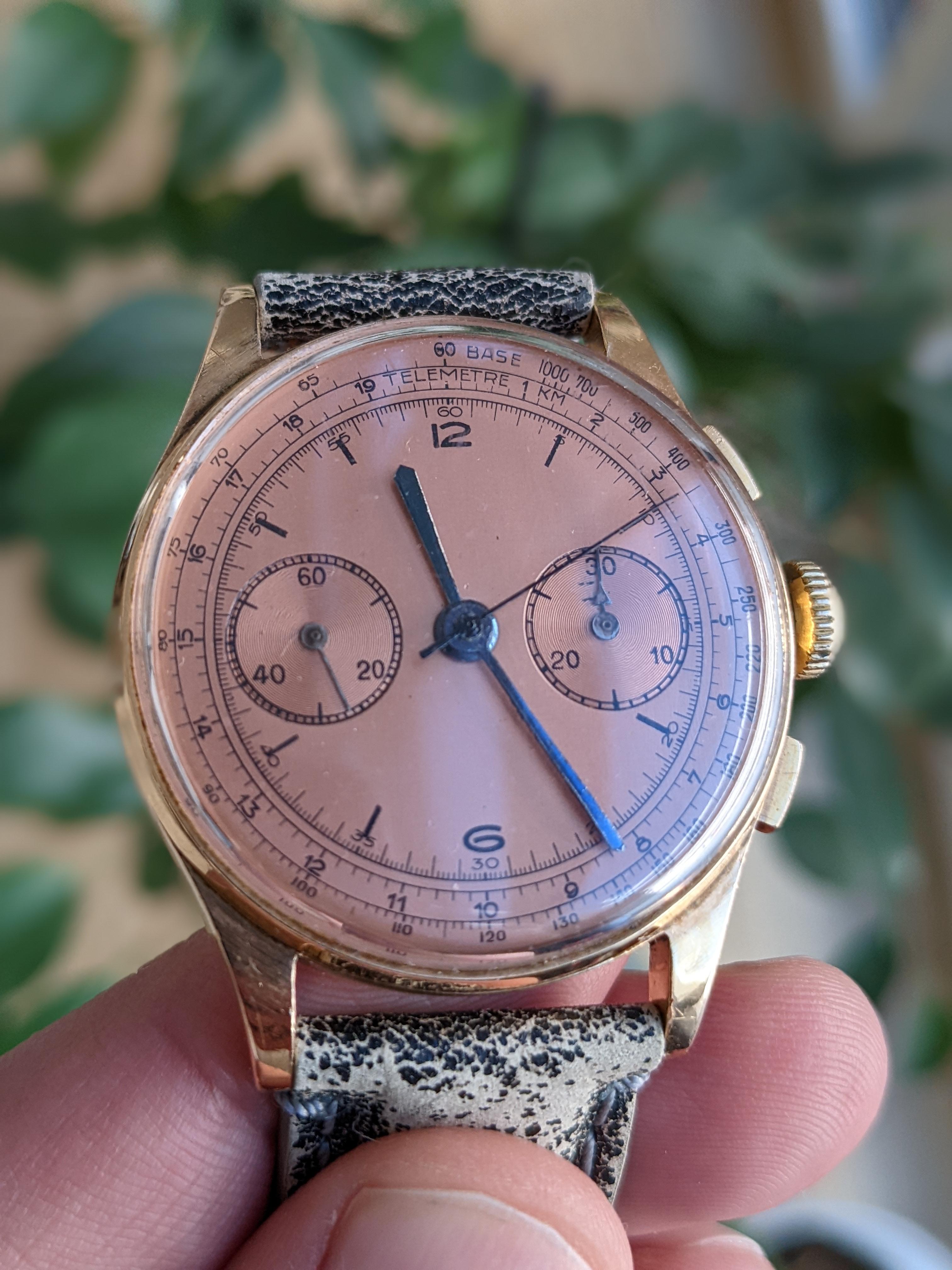 PXL 20220313 130152748 PORTRAIT exif remove — Postimages