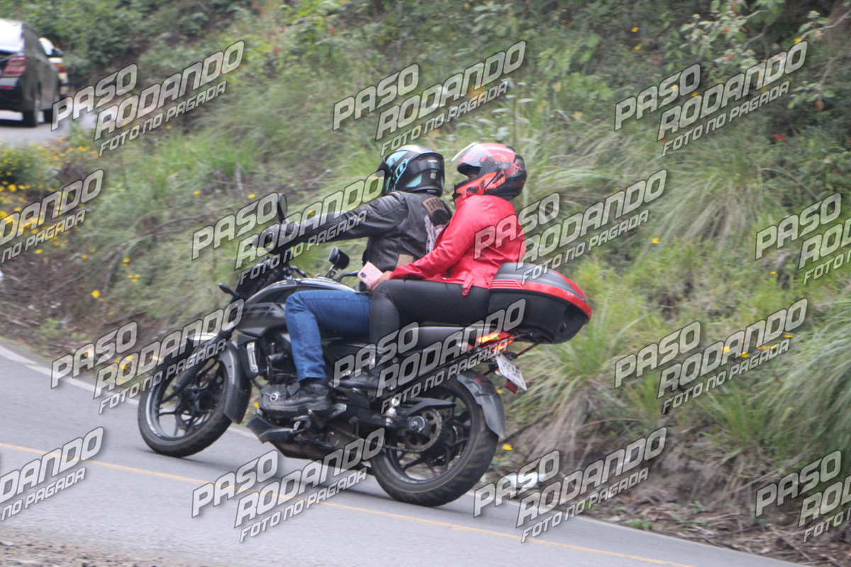 IMG 8992 wm 779583 watermarked — Postimages