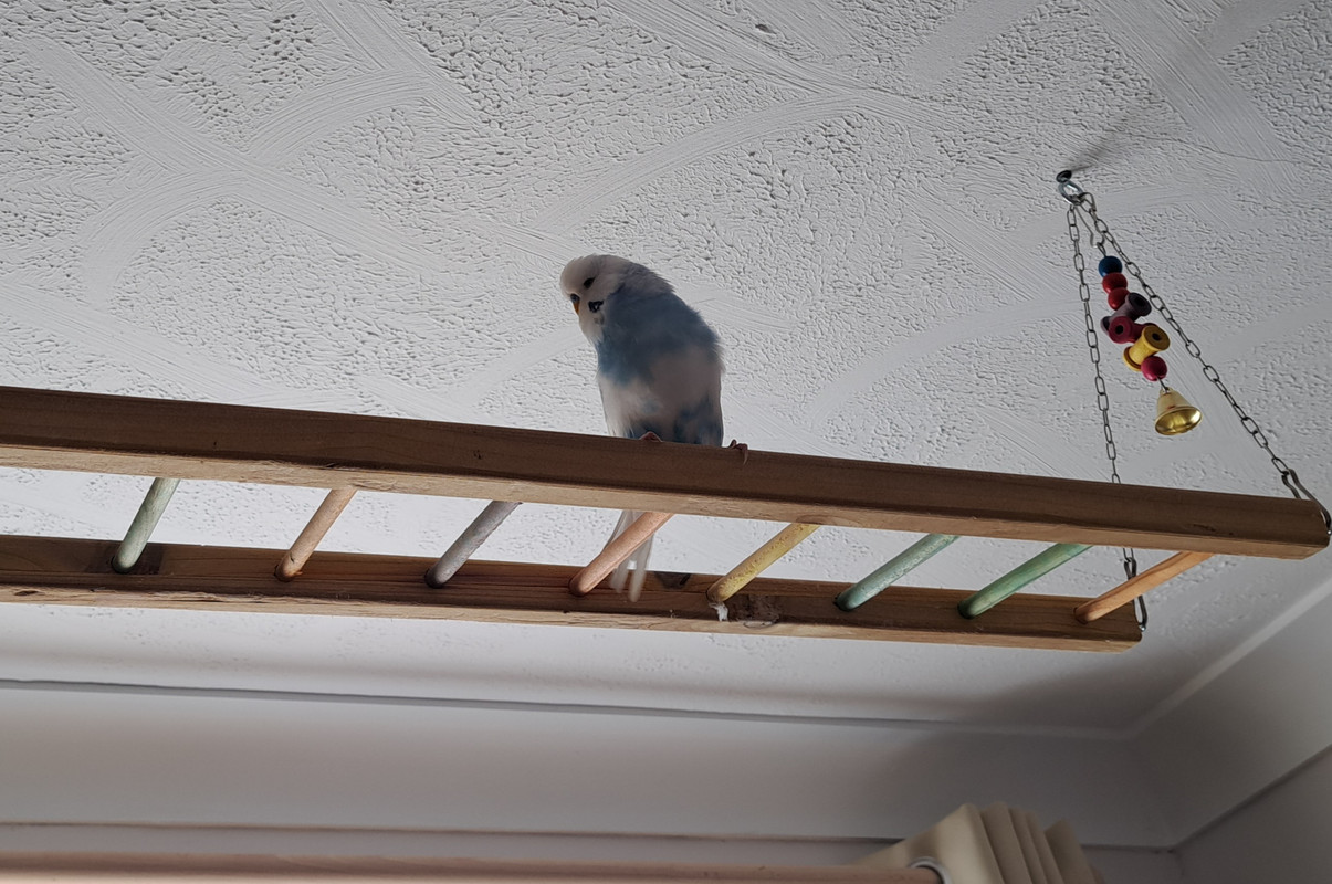 20240405 102604 — Postimages