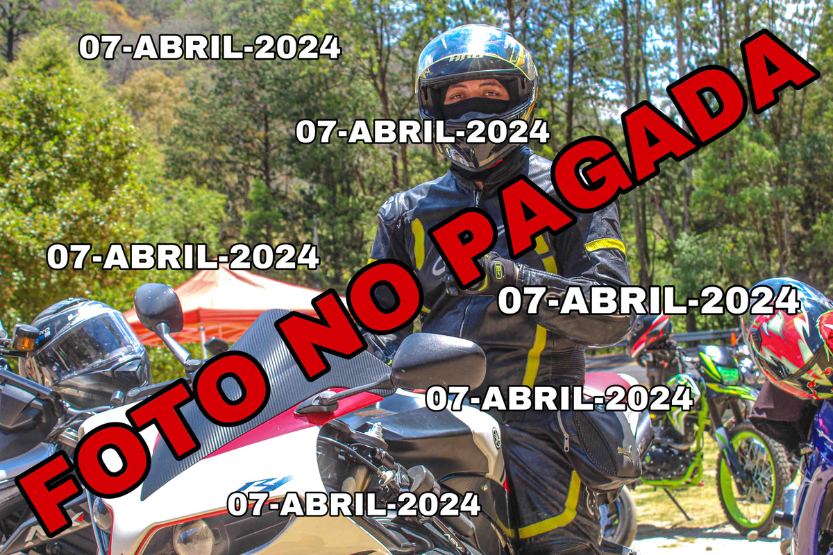 SC 113 — Postimages