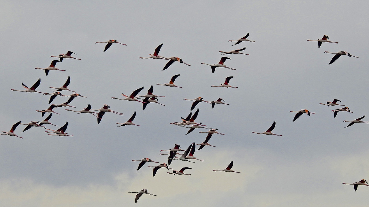 DSCN9334 — Postimages