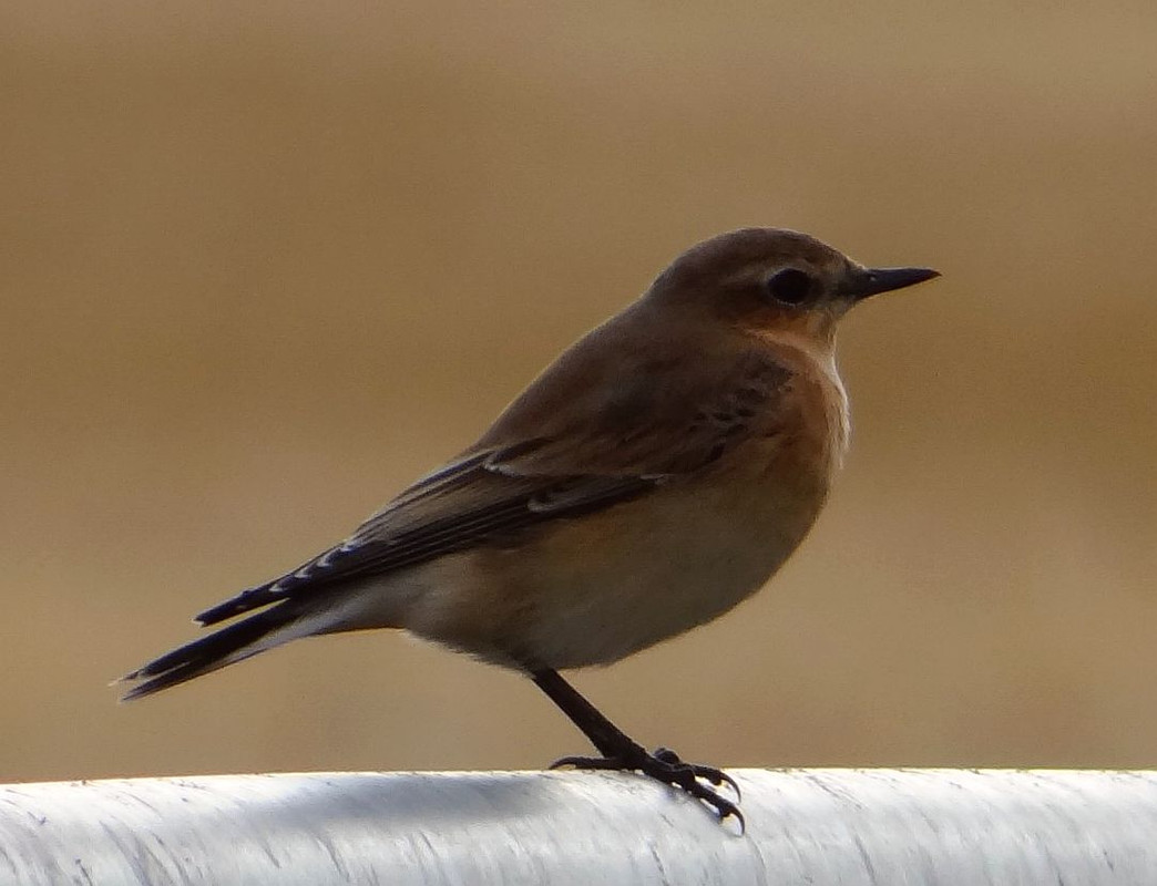 UNKNOWN 3 260823 — Postimages