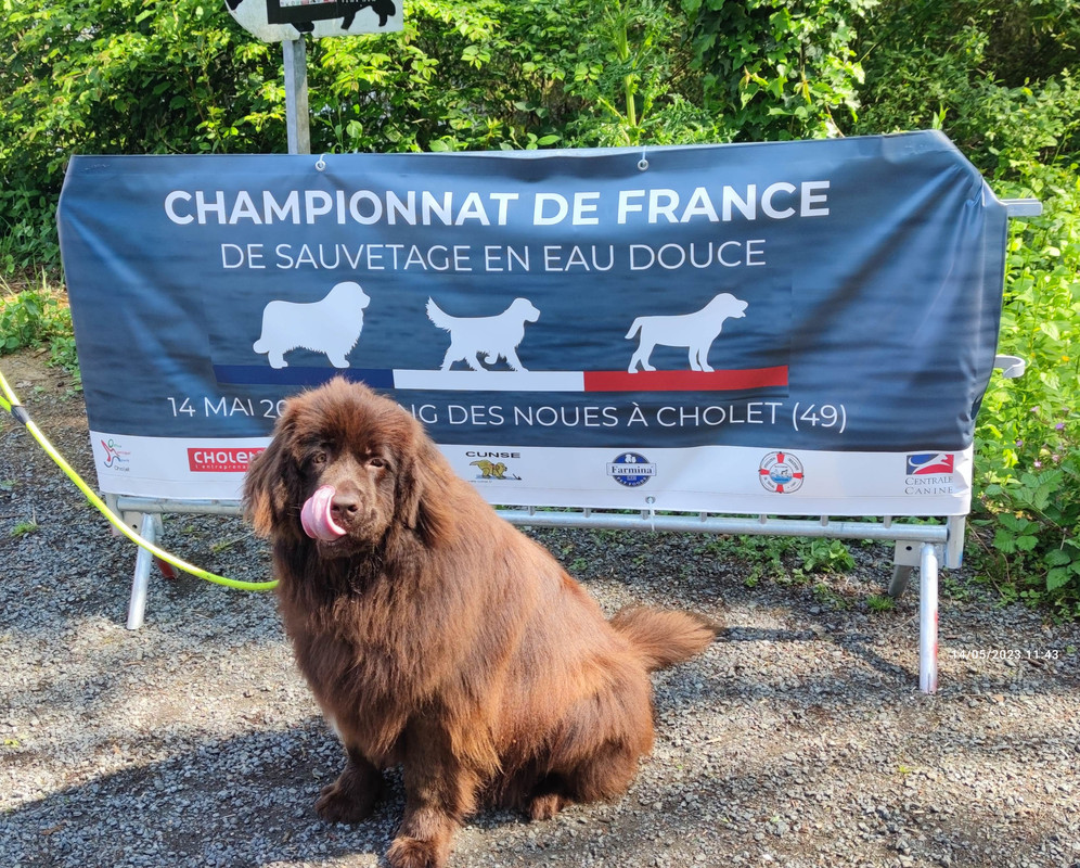 IMG 20230514 125815 — Postimages