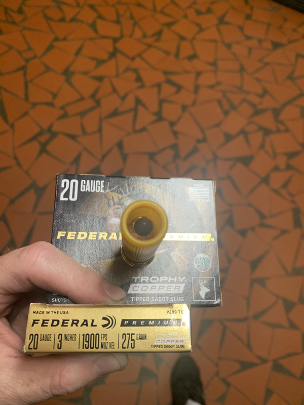 574 D6770 2 DBE 4733 AA64 608 D8 EB65 EB8 — Postimages