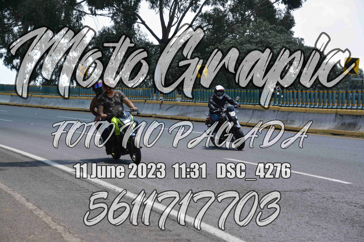 motgr DSC 4276 — Postimages