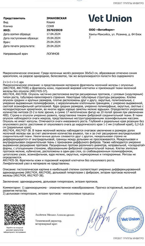 IMG c20066d4a325c18c0e5b597f4cc0d3cc V — Postimages