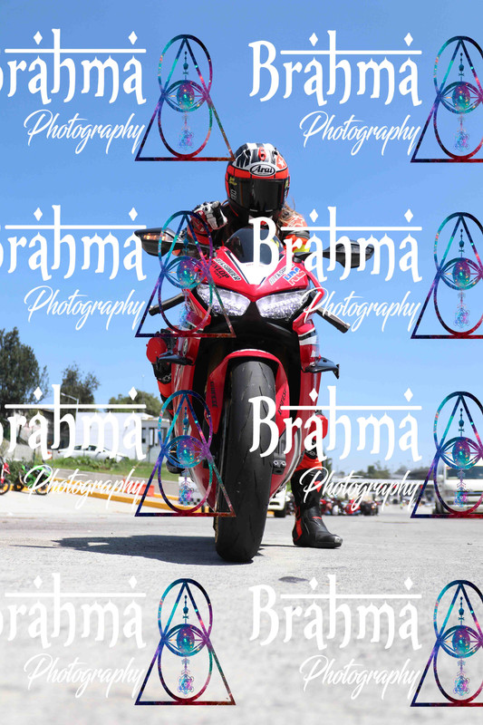 IMG 3340 — Postimages