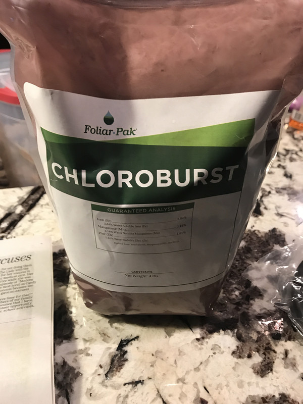 IMG 1497 — Postimages