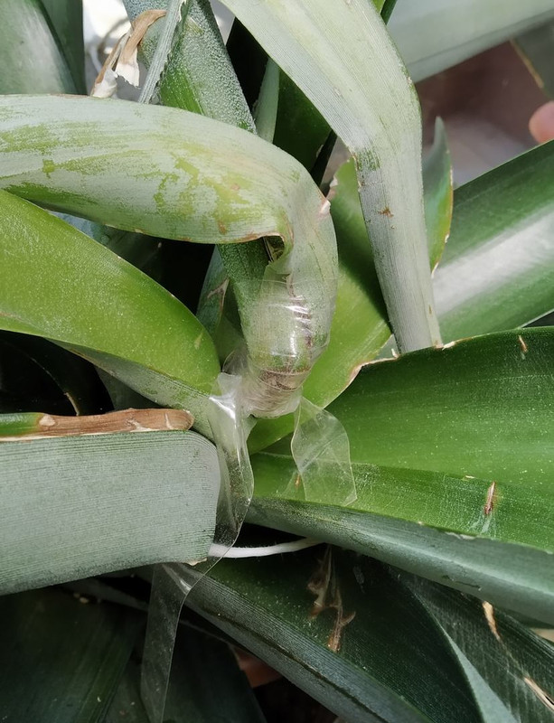 IMG 20220724 113242 — Postimages