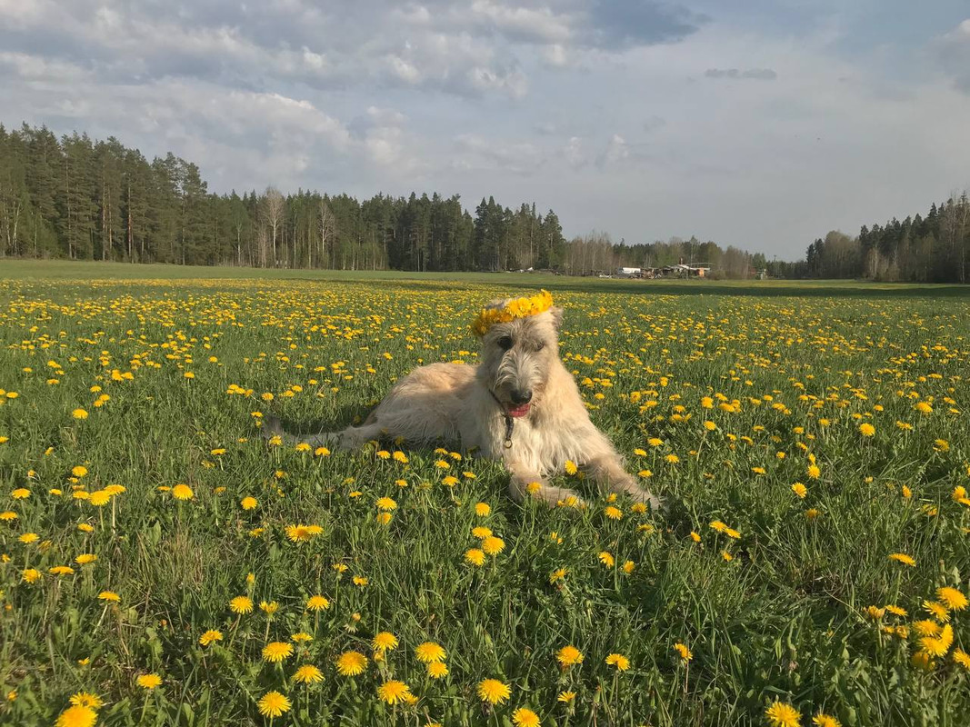 IMG 20230516 134535 674 — Postimages