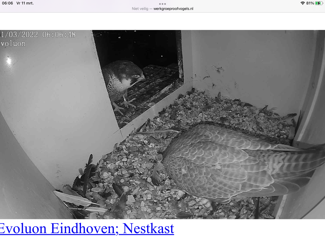 DC8 C6 EB2 9055 41 ED 803 B 7 B61837 E3 B18 — Postimages