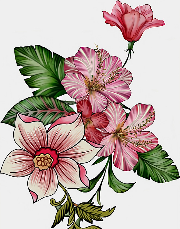 Beautiful Flower — Postimages