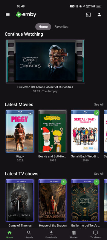Emby not "downloading" case overlays. : r/emby