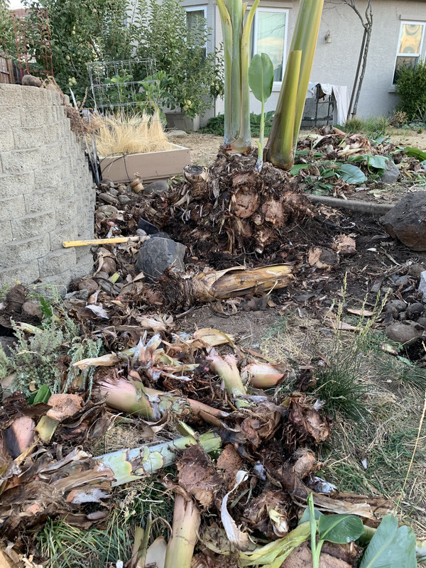 IMG 0268 — Postimages