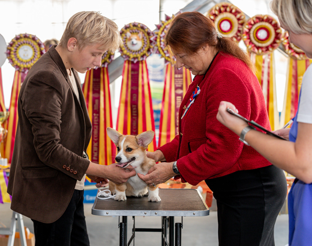 01 1034 — Postimages