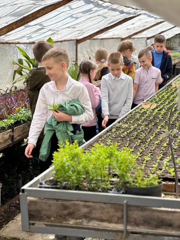 d KOKUIven DM — Postimages