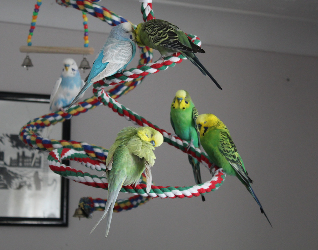 20240901 IMG 3679 — Postimages