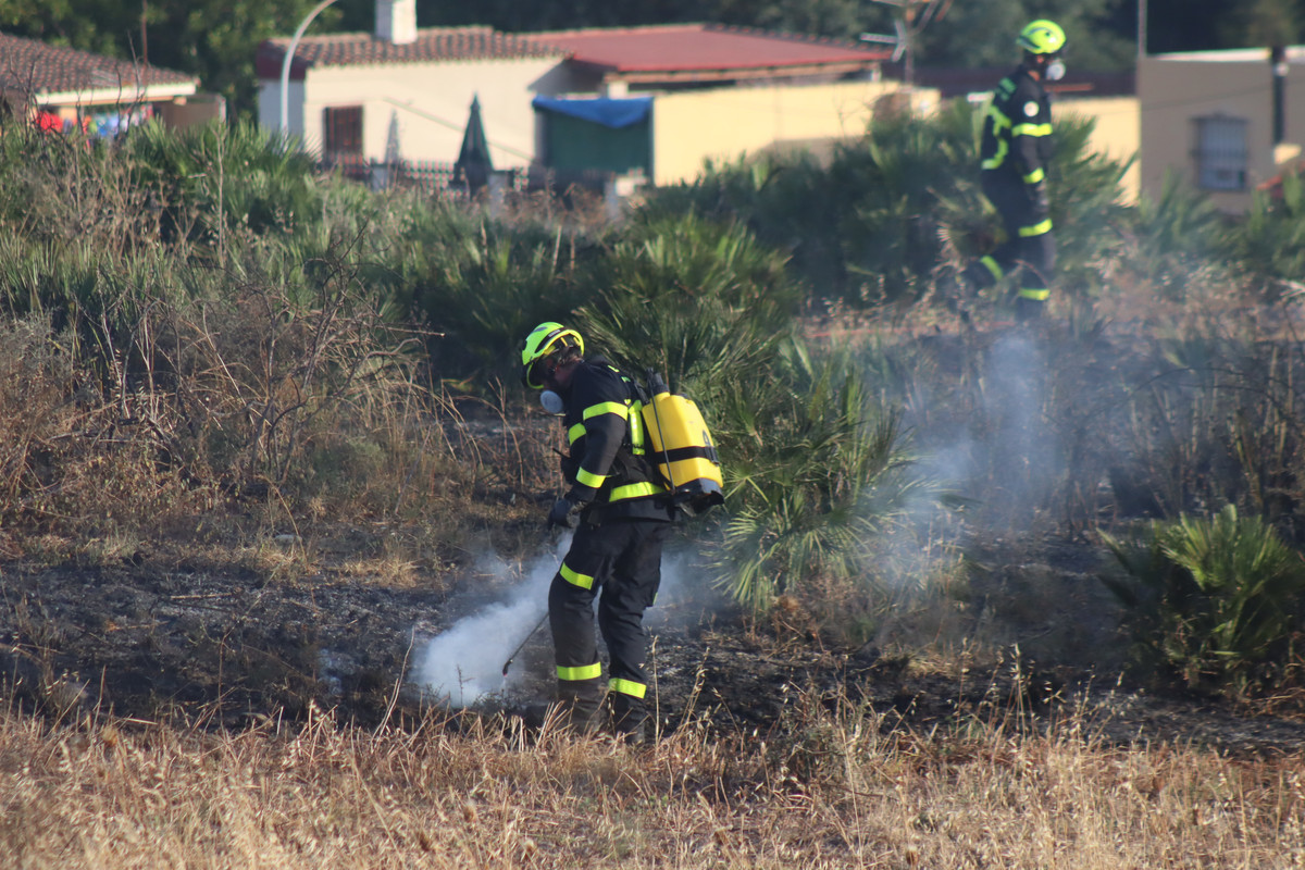 IMG 3308 — Postimages