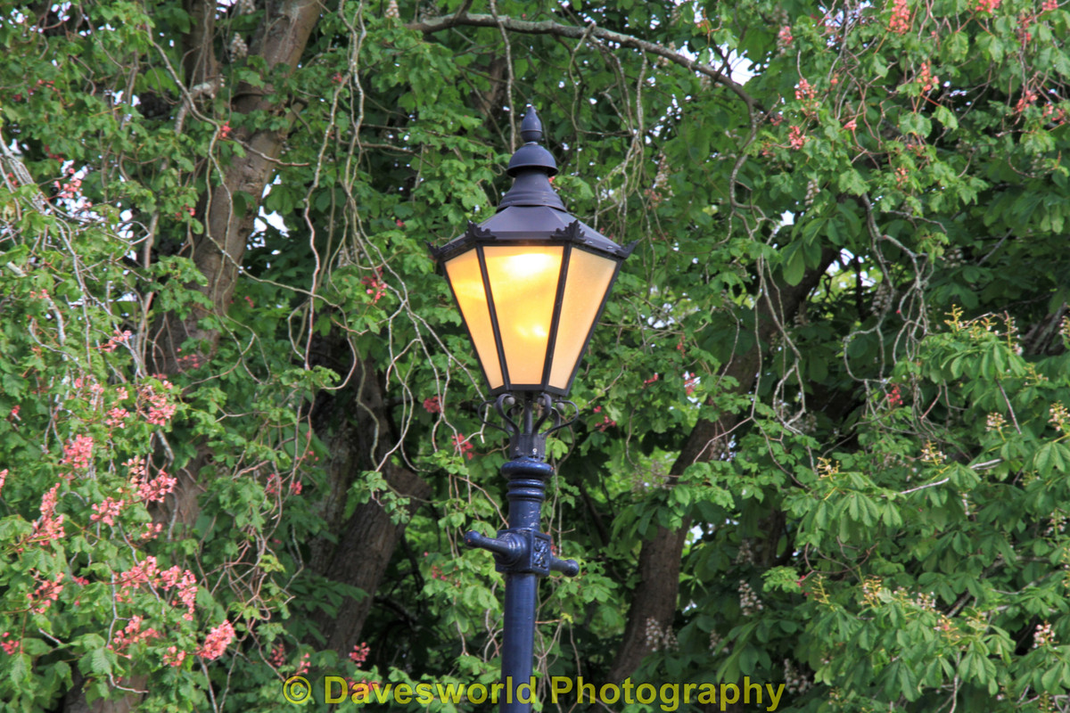 IMG 0048 — Postimages