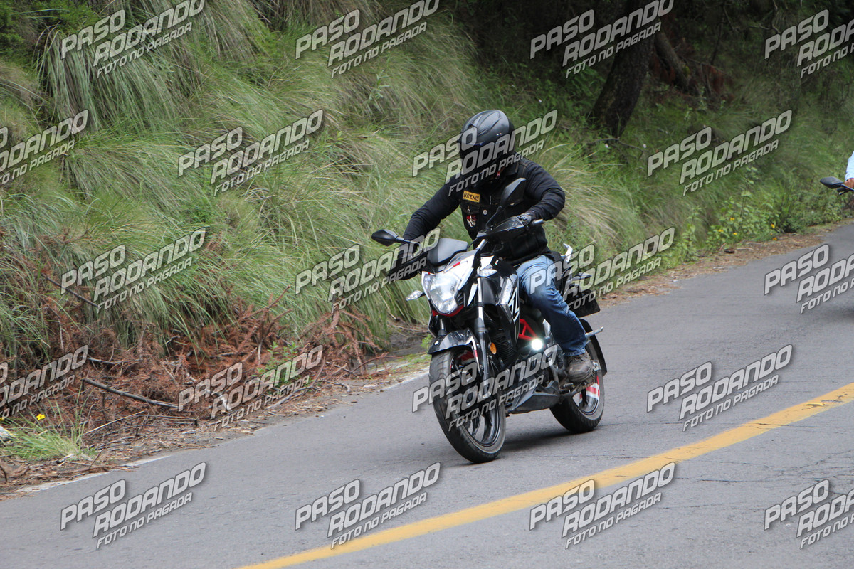 IMG 4458 wm 4997830 5 watermarked — Postimages