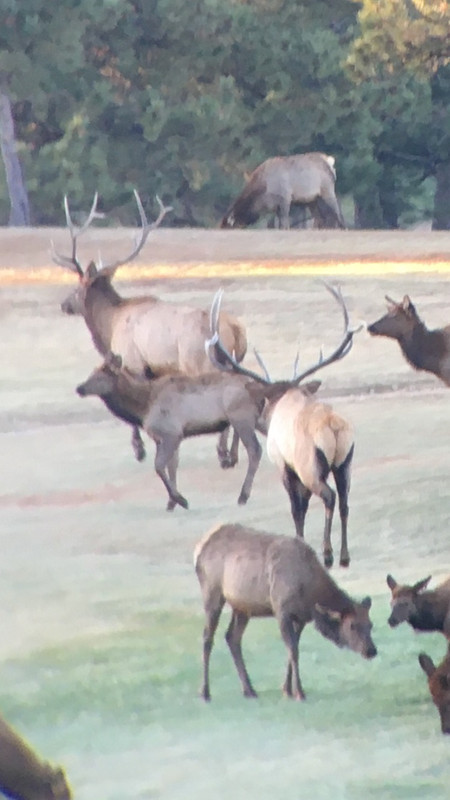 9 F7 CE139 EABC 4018 9 FEC 9 EBA010730 FA — Postimages