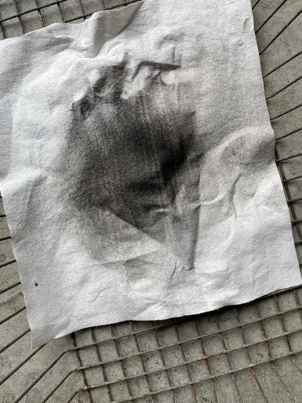 IMG 2946 — Postimages