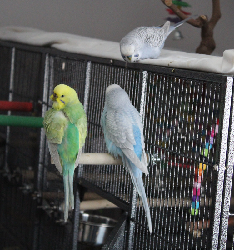 20231119121211 IMG 1913 — Postimages