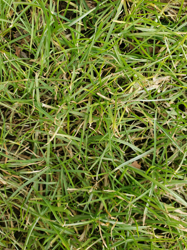 20200314 124641 — Postimages