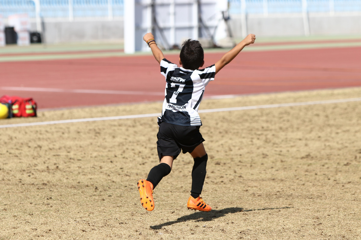 VIK 2187 — Postimages