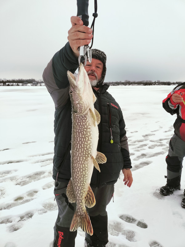 IMG 20230129 104626 — Postimages