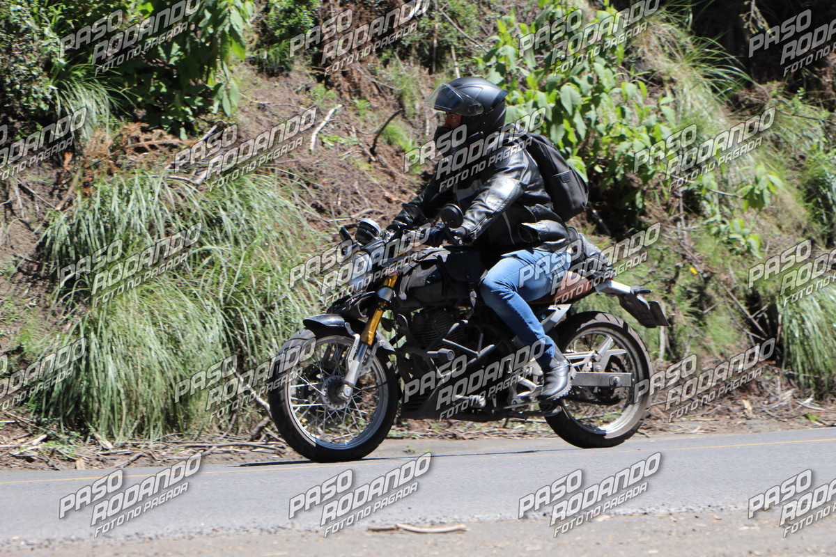 IMG 5284 wm 15675265 watermarked — Postimages